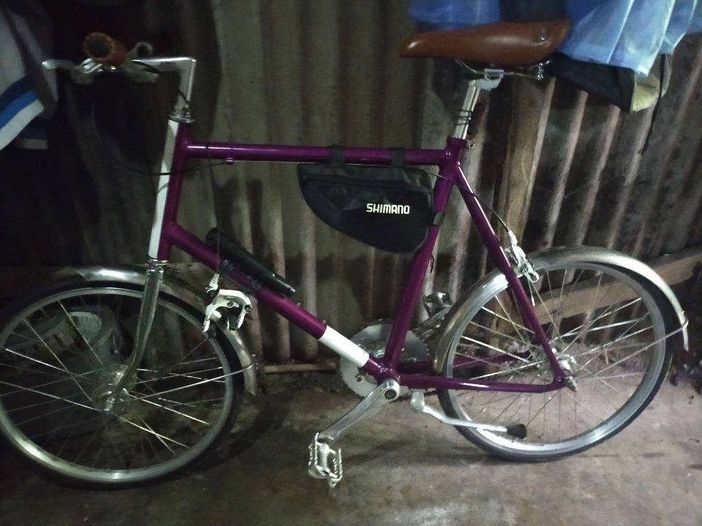 Mini Velo Genio, Sports Equipment, Bicycles & Parts, Bicycles on Carousell