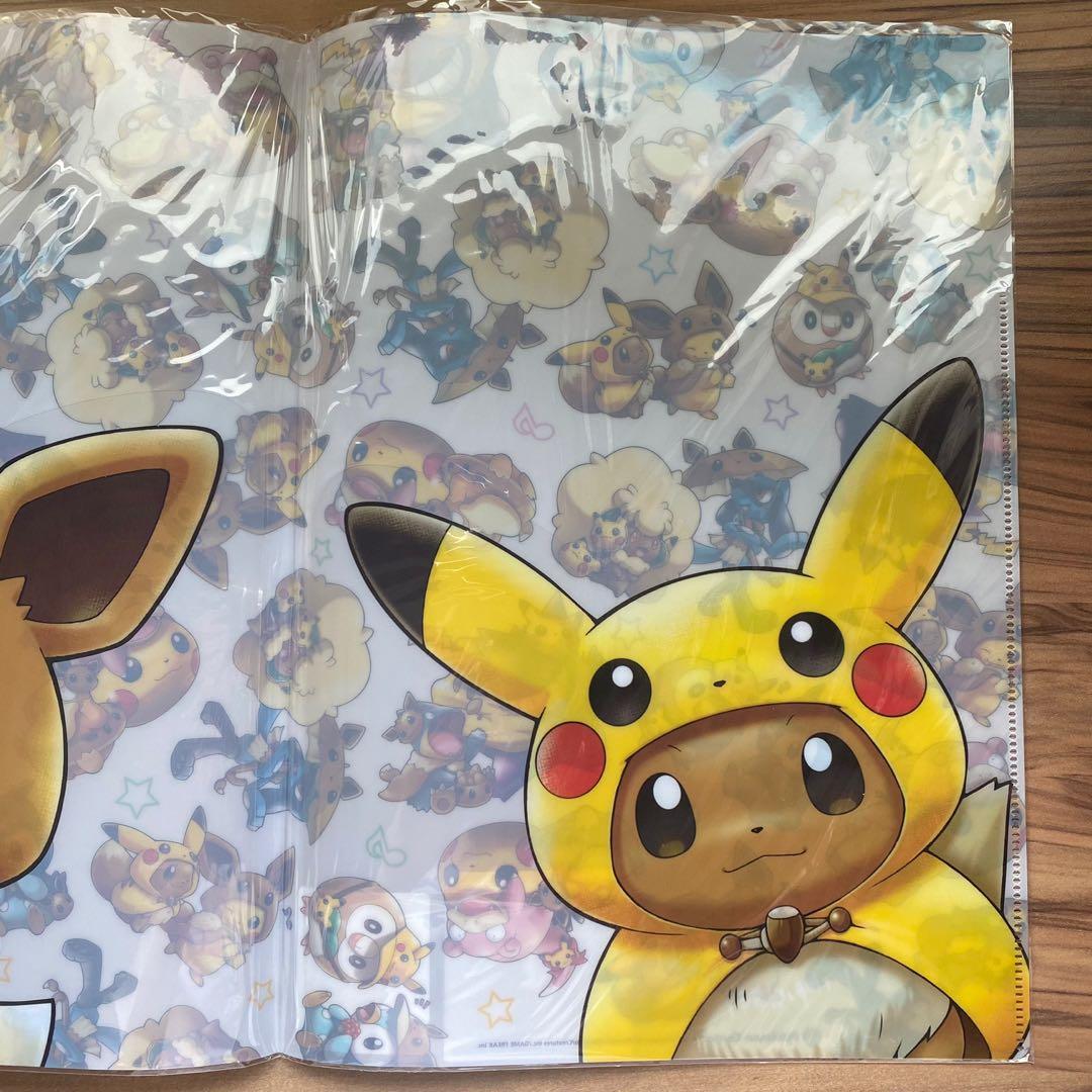 Pokemon Center Pikachu & Eevee Double Folder A4 File, Hobbies & Toys ...