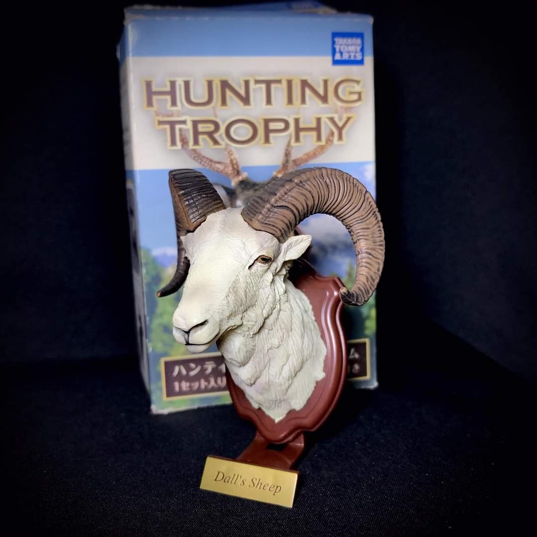 Takara TOMY ARTS Hunting Trophy mini display/magnet Dall’s Sheep 2.9 ...