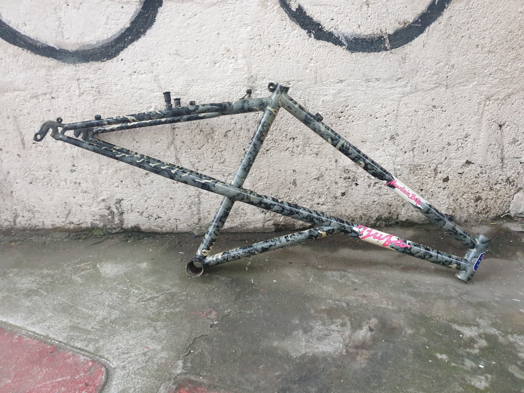 Vintage elevated chainstay MTB frame, Sports Equipment, Bicycles ...