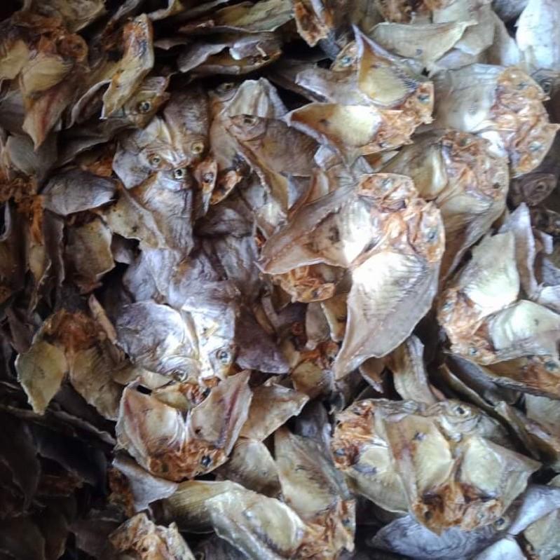 Boneless Dried Danggit from, Bantayan Cebu, Food & Drinks, Local Eats ...