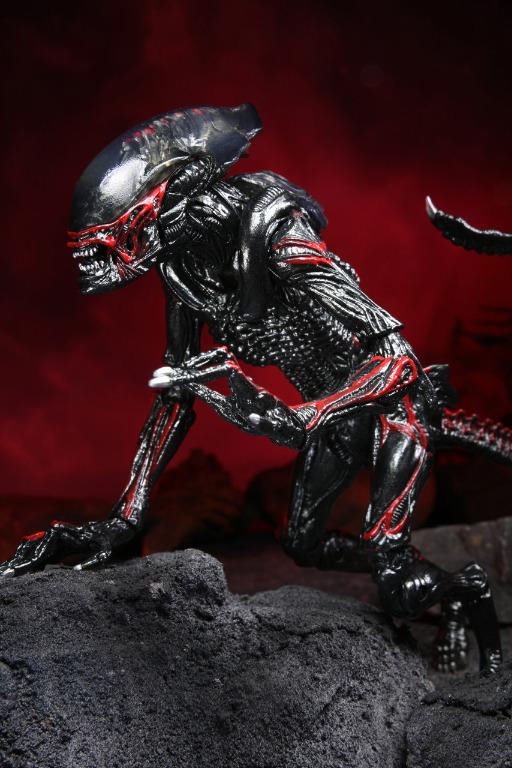 [預售] NECA 7吋Figure 異形 - 美洲獅 | [Pre-order] NECA Aliens – 7″ Scale Action ...