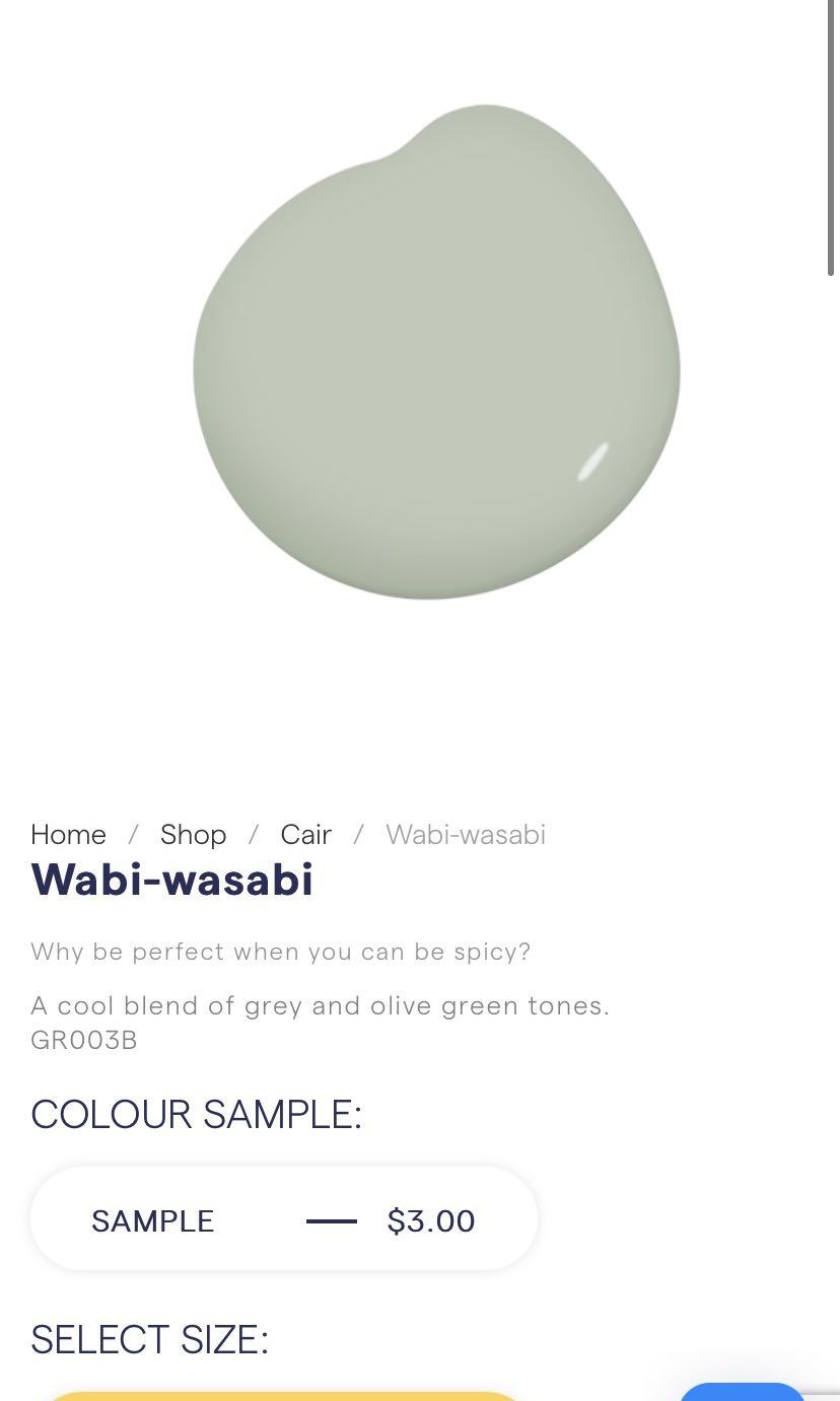 BN GUSH CAIR PAINT WABI WASABI SAGE GREEN COLOUR 1L, Everything Else on ...
