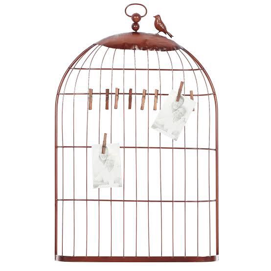 Defective Bird Cage Note Holder, Furniture & Home Living, Home Decor ...