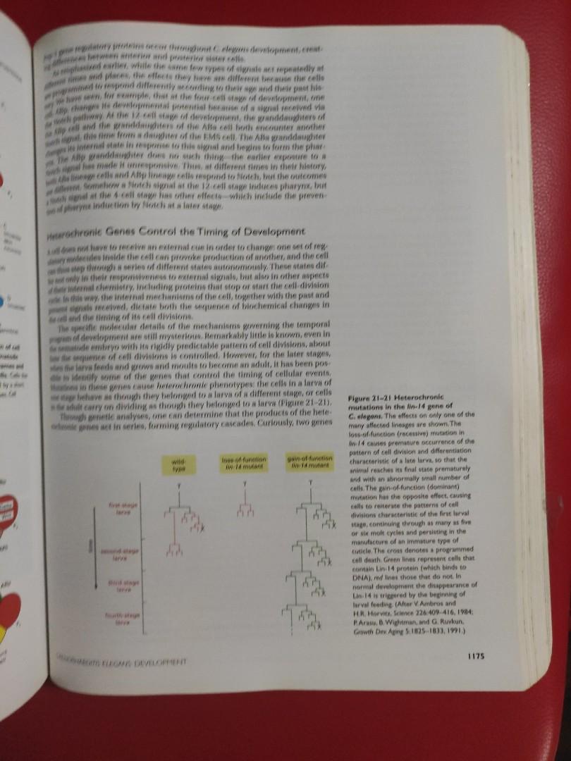 Molecular Biology of THE CELL 4th edition, Hobbies & Toys, Books ...
