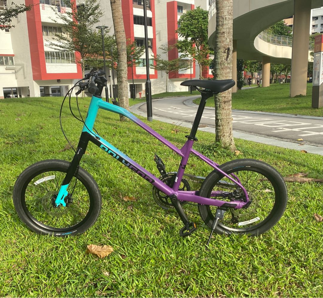 Polygon Zeta 2 - mini velo - hybrid, Sports Equipment, Bicycles & Parts ...