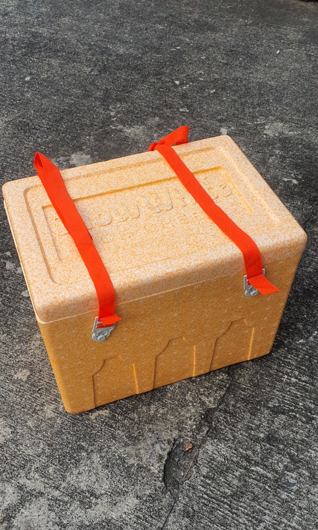 Styro Box (Ice Chest) - Container Big Size, Everything Else, Looking ...