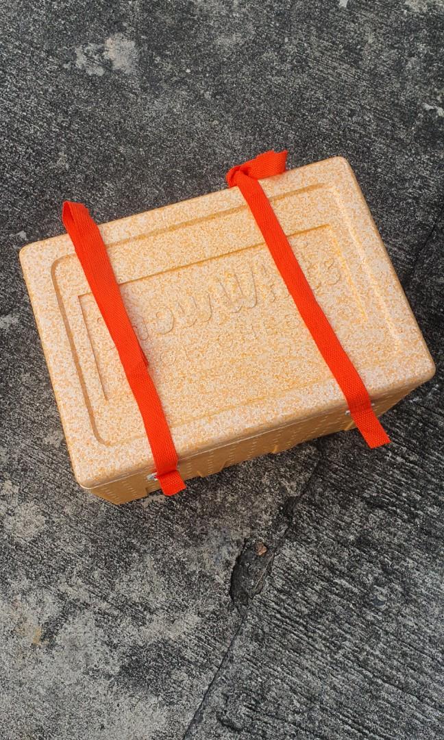 Styro Box (Ice Chest) - Container Big Size, Everything Else, Looking ...