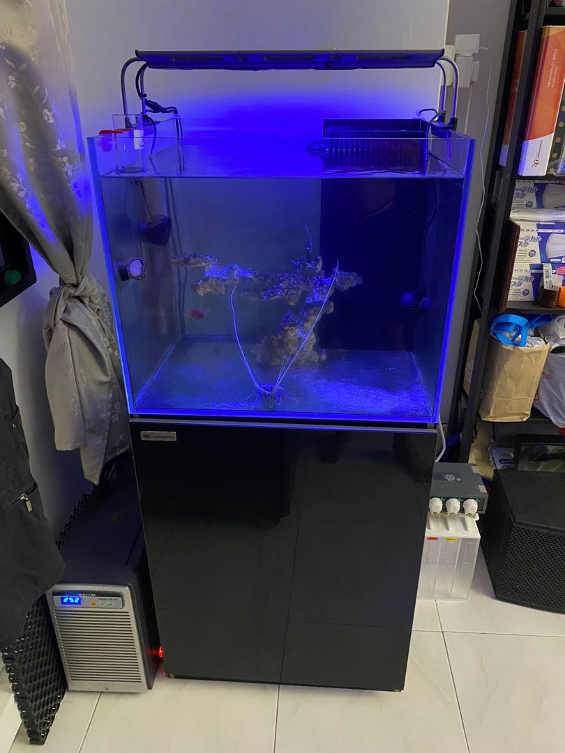 2ft marine fish tank with sump ( full complete set ), Pet Supplies ...