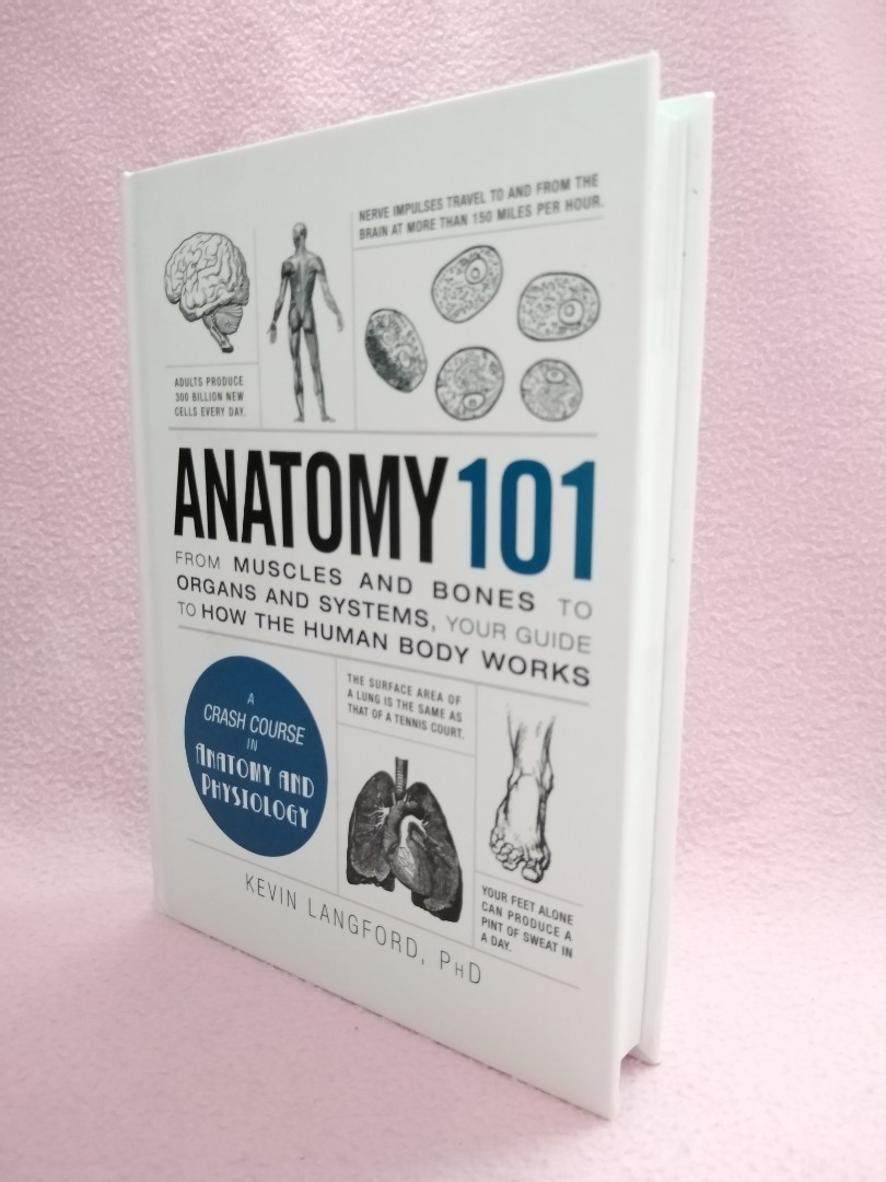 Anatomy 101: From Muscles and Bones to Organs and Systems, Your Guide ...