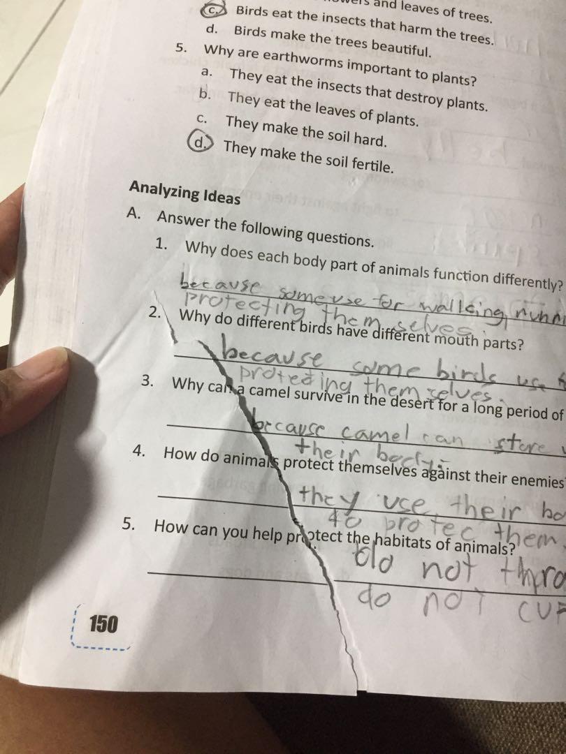 Grade 3 Science Links (REX), Hobbies & Toys, Books & Magazines ...