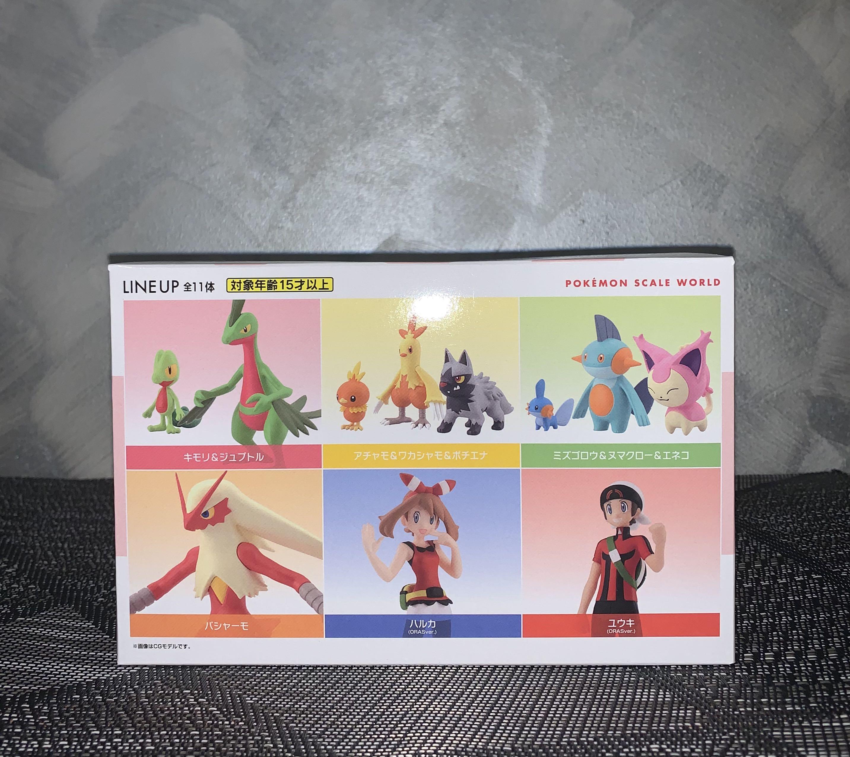 Pokemon Scale World Hoenn Region, Hobbies & Toys, Toys & Games on Carousell