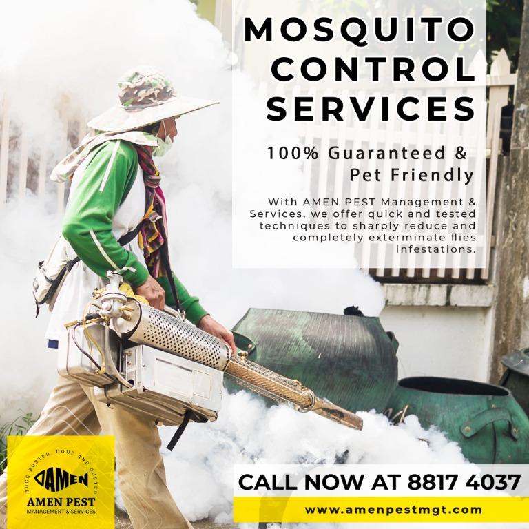 Car Fumigation, Home & Office Treatment, Bed Bugs, Termites, Rats ...