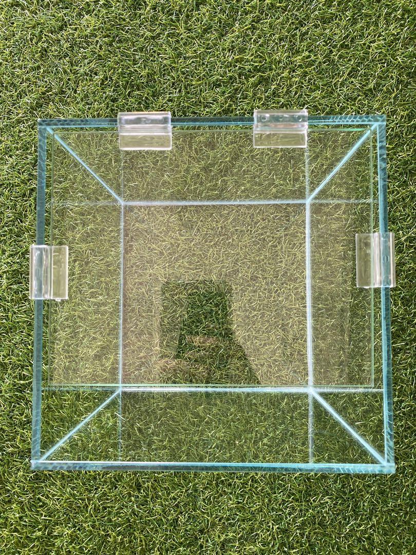 ANS 20cm x 20cm x 20cm Cube Fish Tank., Pet Supplies, Homes & Other Pet ...