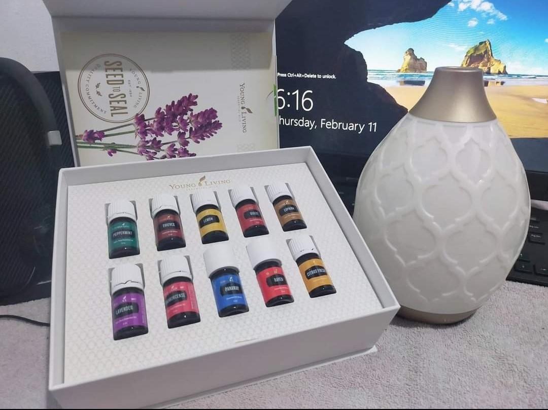 Desert Mist Young Living Diffuser, Furniture & Home Living, Home ...