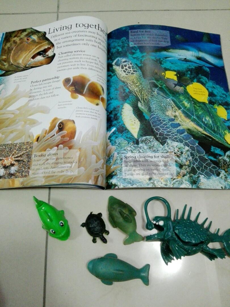 DK Eyewonder...Ocean, Hobbies & Toys, Books & Magazines, Storybooks on ...