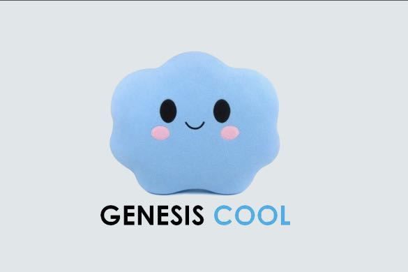 GenesisCool Aircon Specialist, Home Services, Aircon Services on Carousell