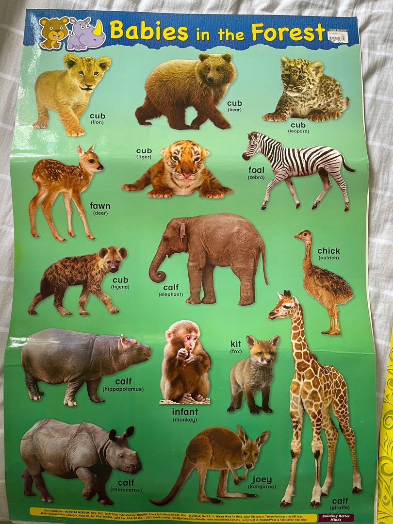 Kids learning poster, Hobbies & Toys, Stationery & Craft, Art & Prints ...