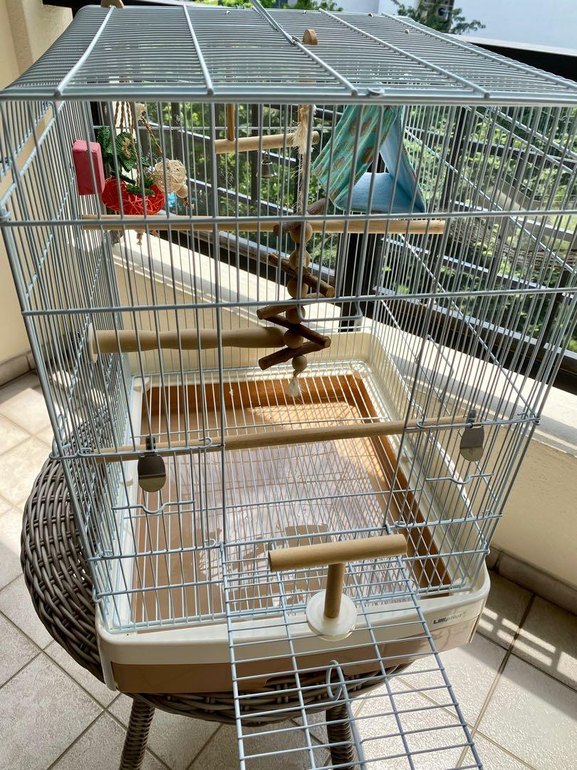 Lillyphut Bird Cage and Accessories, Pet Supplies, Homes & Other Pet ...