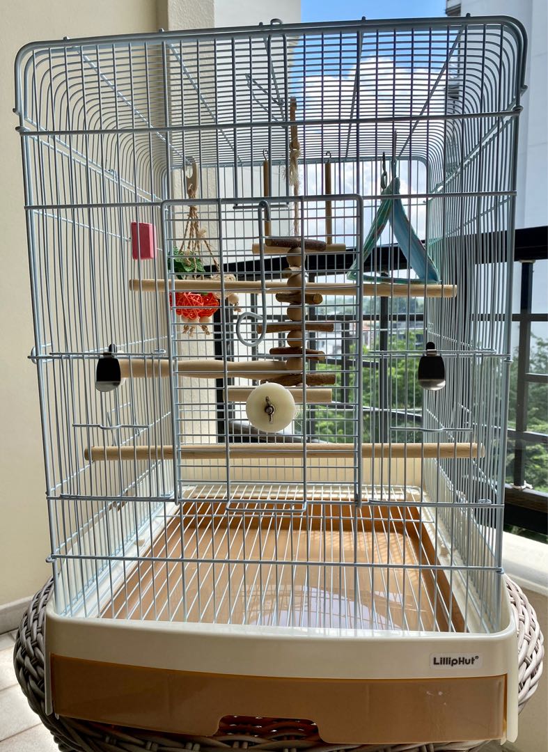 Lillyphut Bird Cage and Accessories, Pet Supplies, Homes & Other Pet ...