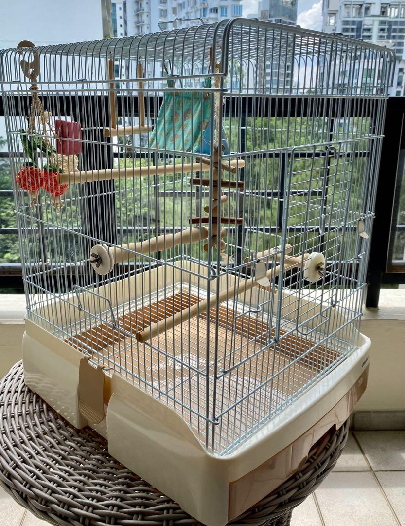 Lillyphut Bird Cage and Accessories, Pet Supplies, Homes & Other Pet ...