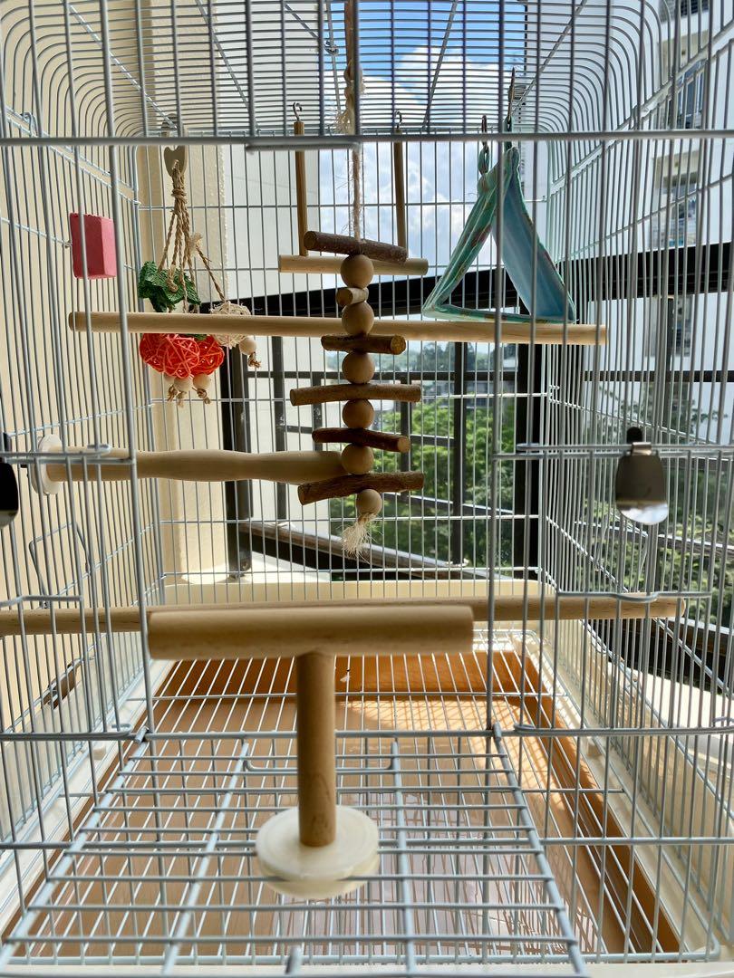 Lillyphut Bird Cage and Accessories, Pet Supplies, Homes & Other Pet ...