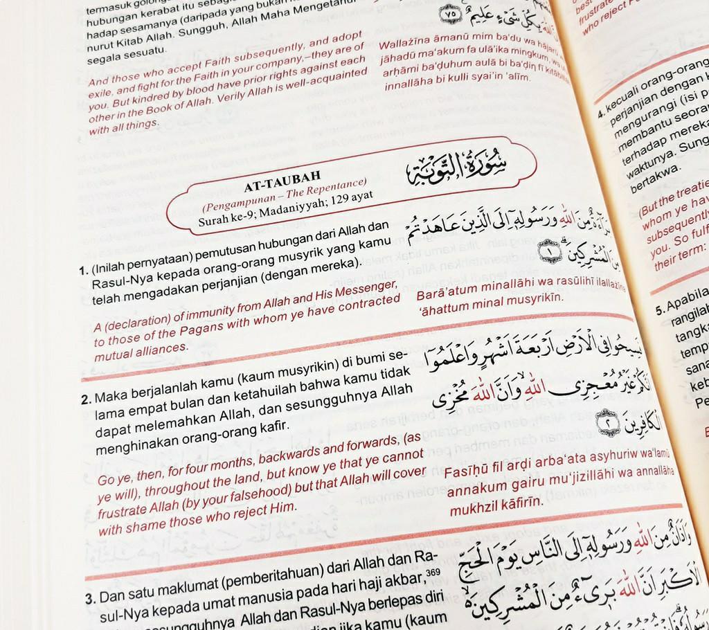 Quran with Rumi, English & Malay ( Tagging options available ), Hobbies ...