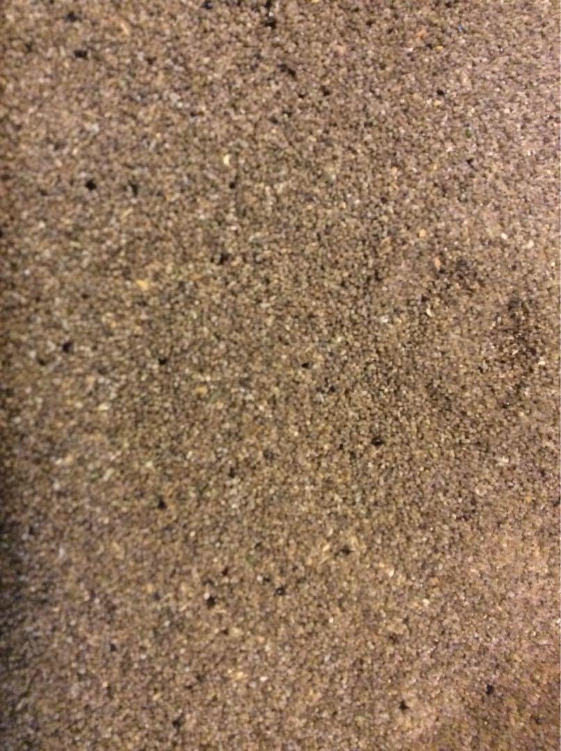 Mealworm and Superworm frass/poop fertiliser, Furniture & Home Living ...