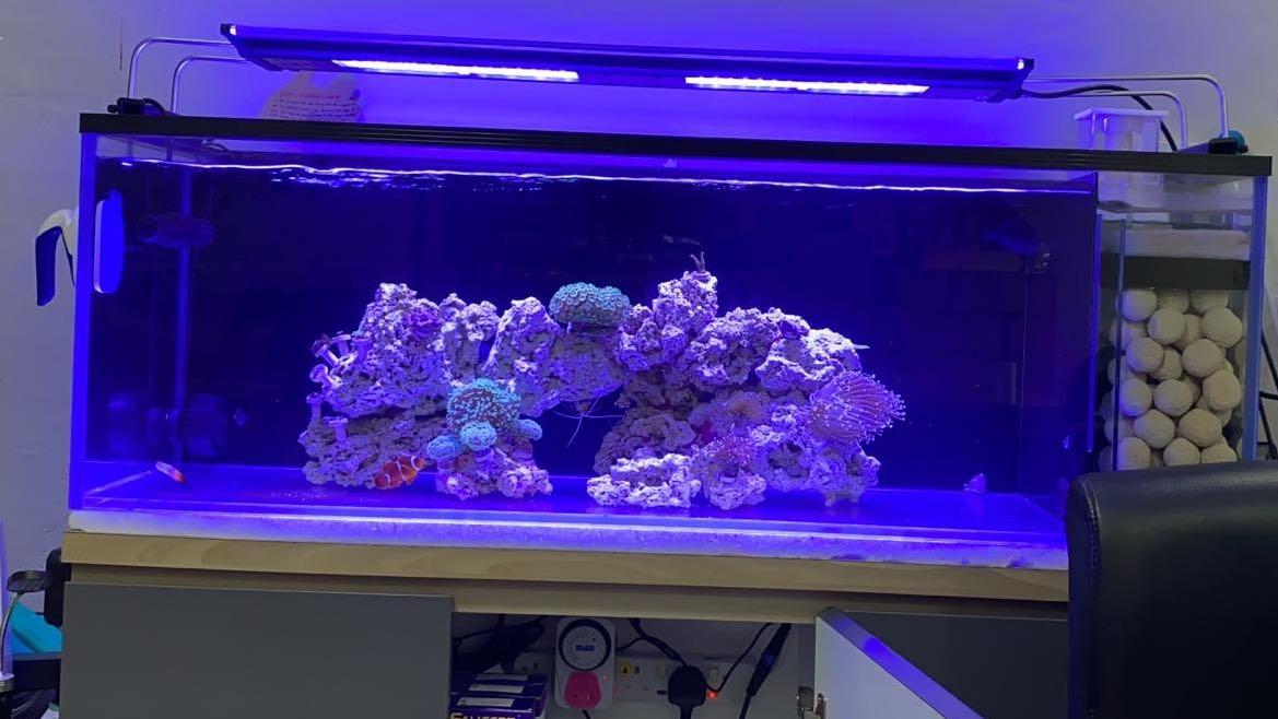 4ft crystal clear Glass ISO fish tank, Pet Supplies, Homes & Other Pet ...