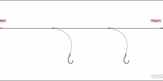 Fishing Apollo rig , Sports Equipment, Fishing on Carousell