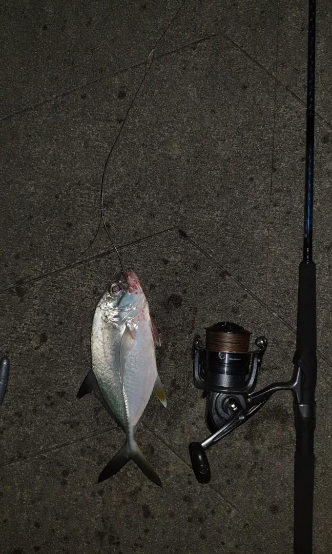 Fishing Apollo rig , Sports Equipment, Fishing on Carousell