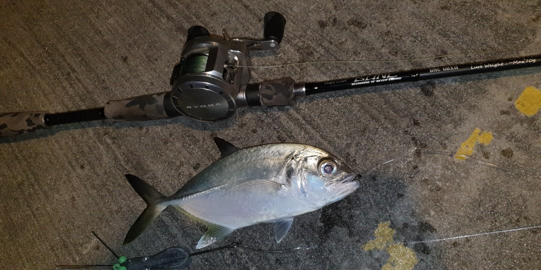 Fishing Apollo rig , Sports Equipment, Fishing on Carousell