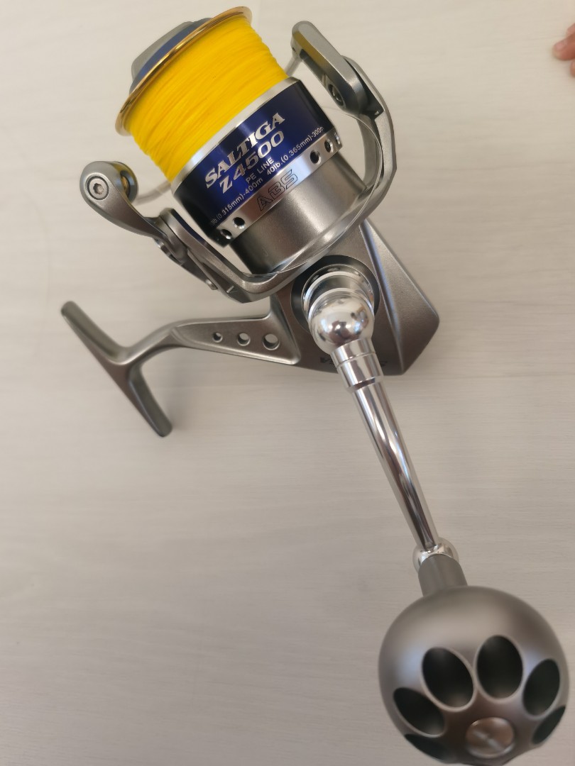 Daiwa saltiga 4500h, Sports Equipment, Fishing on Carousell