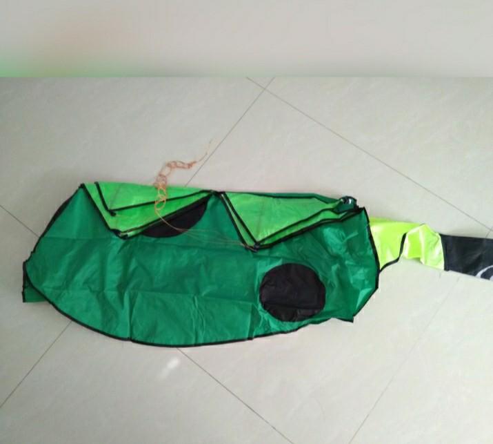 Ladybird foldable kite, Sports Equipment, Sports & Games, Kites on ...