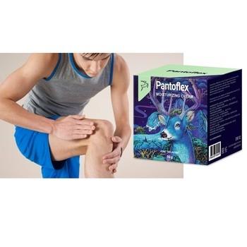 Pantoflex Joint Cream, Health & Nutrition, Medical Supplies & Tools on ...