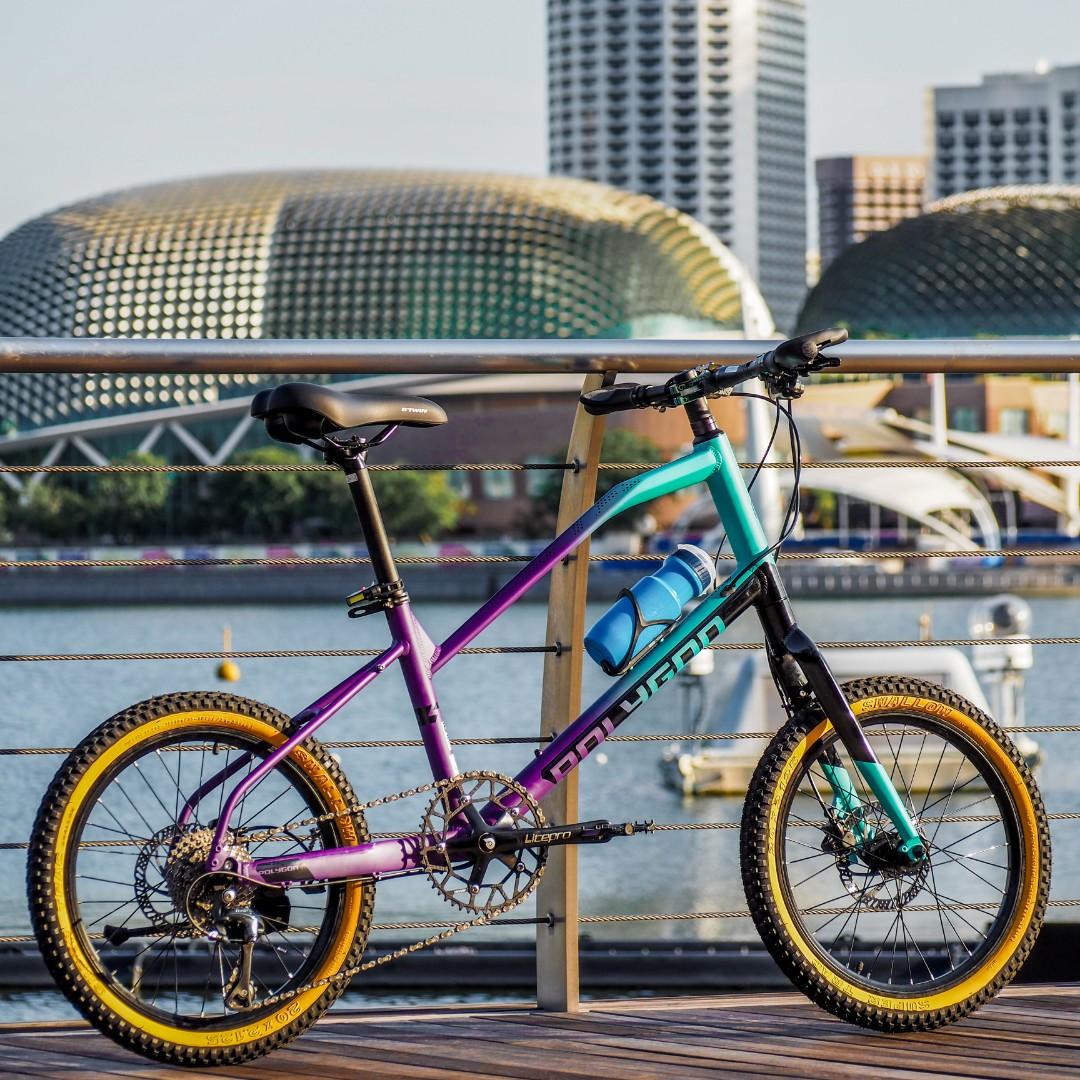 Polygon Zeta 2 Mini Velo, Sports Equipment, Bicycles & Parts, Bicycles ...