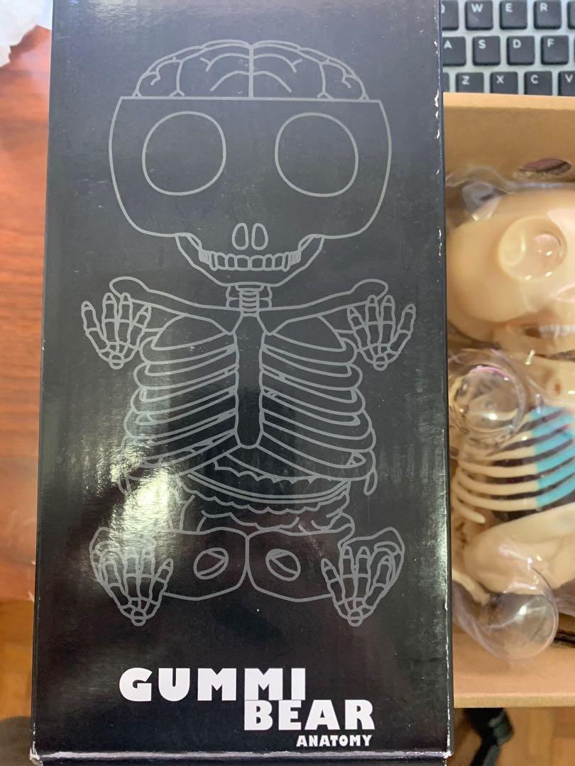 Gummy Bear Skeleton., Hobbies & Toys, Memorabilia & Collectibles ...