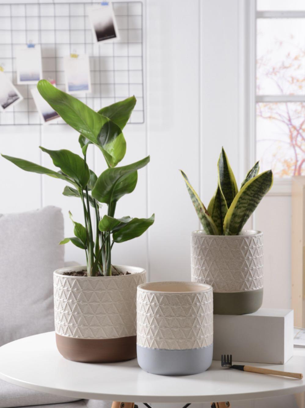 Neutral Planter Pots - Large (Beige), Furniture & Home Living ...