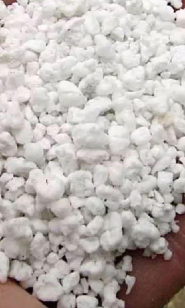 Perlite / Coco Fibre / Fern Bark/ Akadama / White Pebbles, Furniture ...