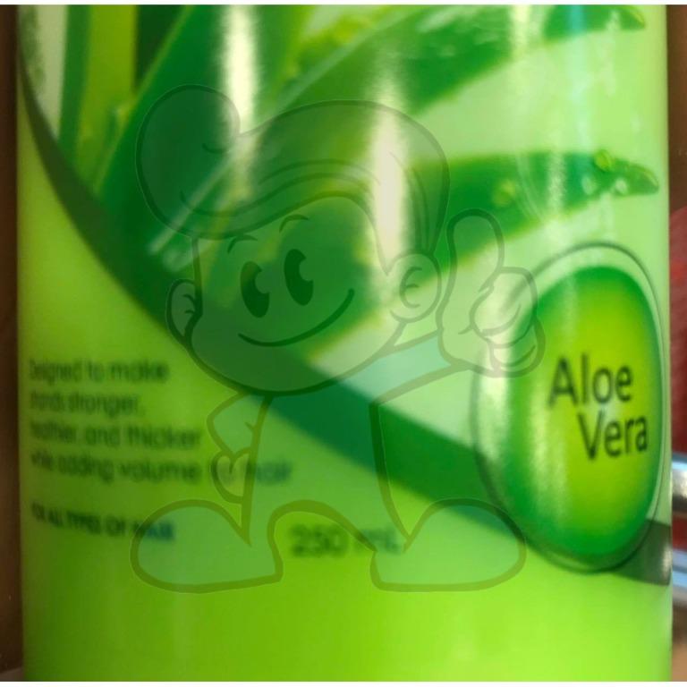 Pregroe 4 in One Hair Thickening Shampoo (2 x 250 mL), Beauty ...