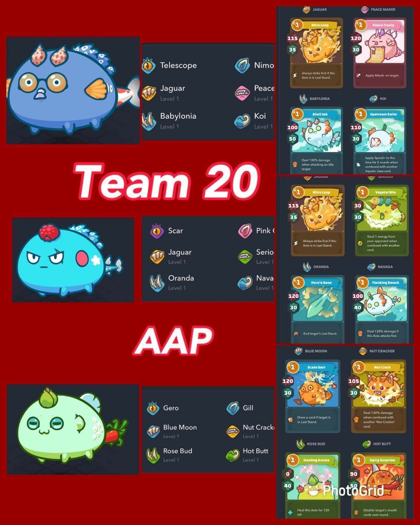 Axie team, Video Gaming, Video Games, Others on Carousell