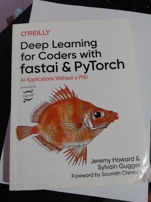 Deep Learning for Coders with Fastai and PyTorch, Hobbies & Toys, Books & Magazines, Textbooks ...