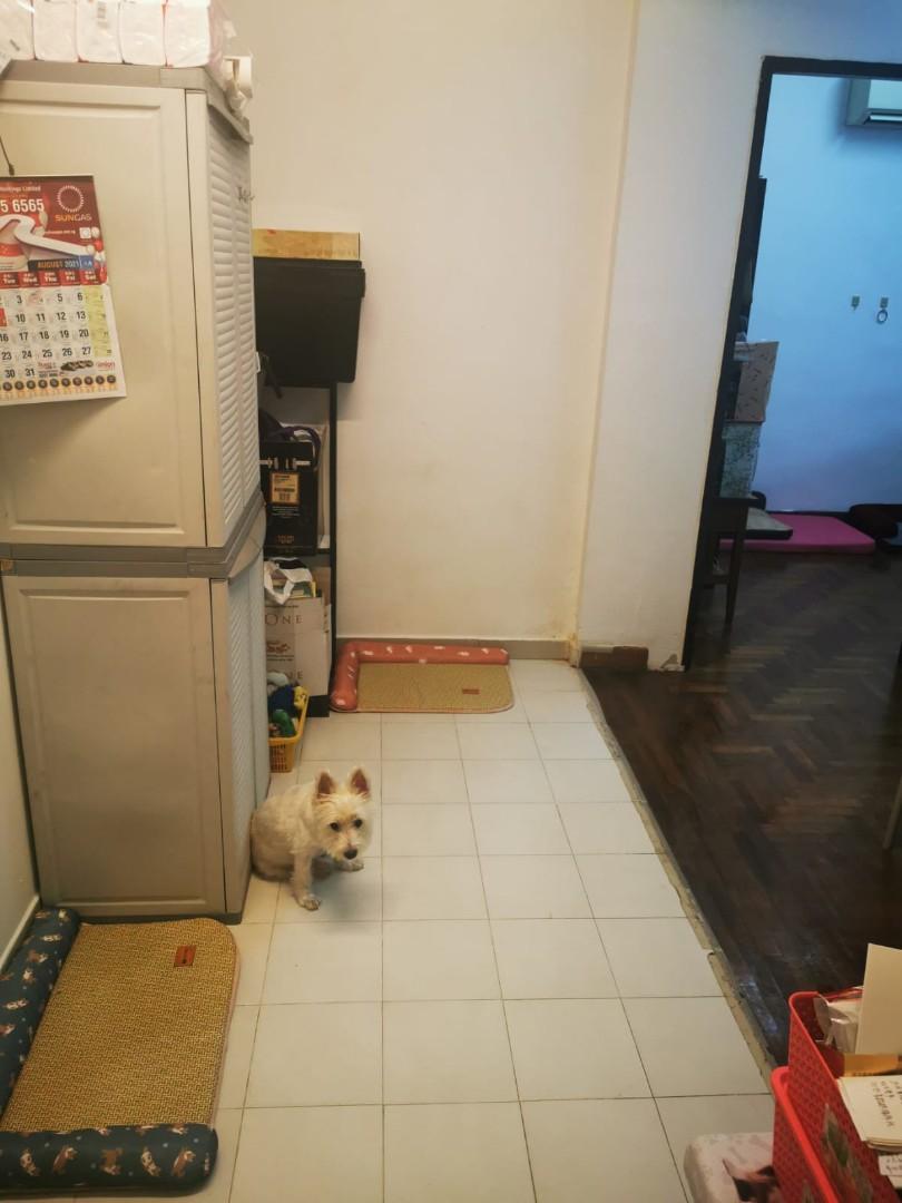 Siglap Court, Property, Rentals, Landed Property on Carousell