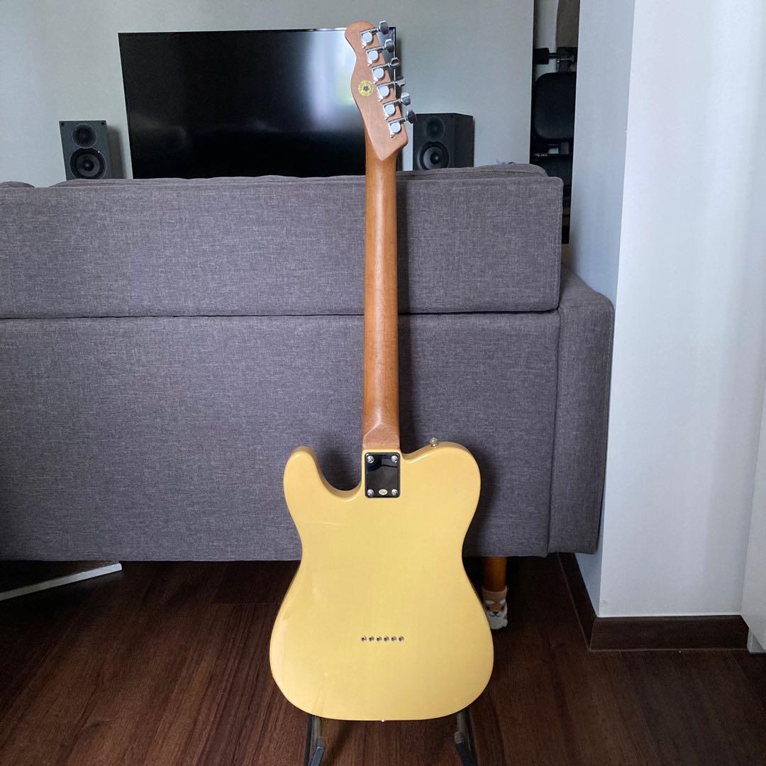 Bacchus BTE-2-RSM Telecaster, Hobbies & Toys, Music & Media, Musical ...