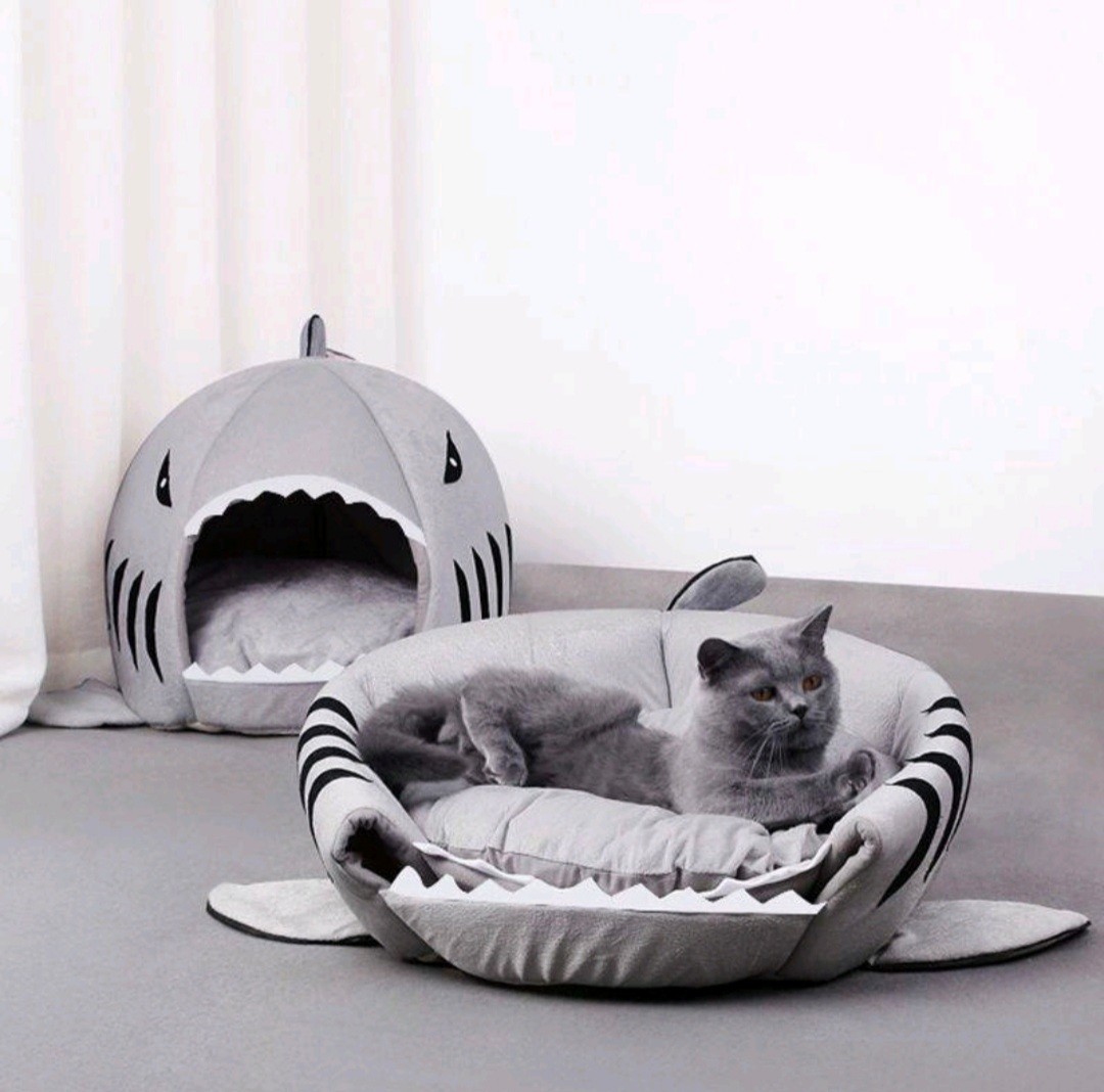 CAT/DOG SHARK BED, Pet Supplies, Homes & Other Pet Accessories on Carousell