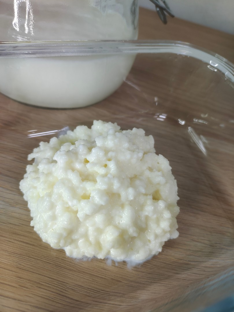 Live Milk Kefir Grains, Health & Nutrition, Health Supplements, Health ...