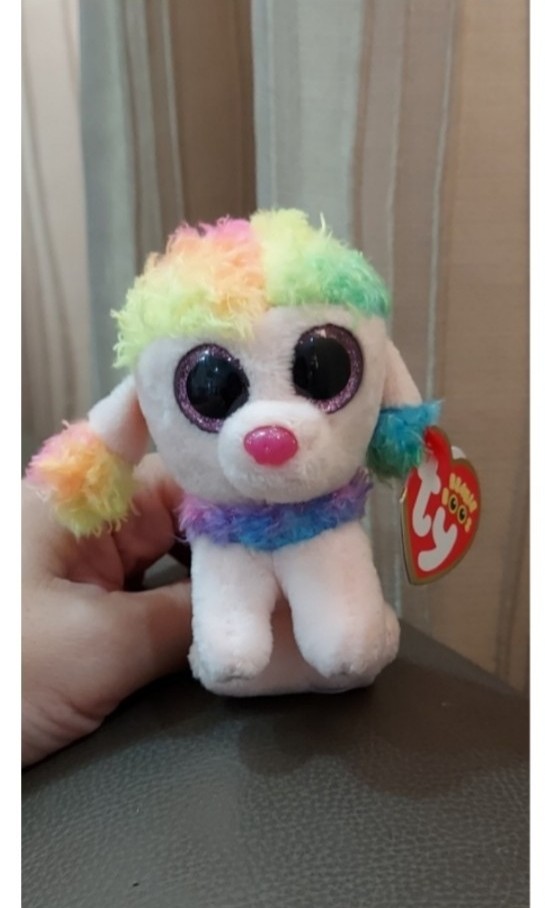 Ty rainbow poodle, Hobbies & Toys, Toys & Games on Carousell