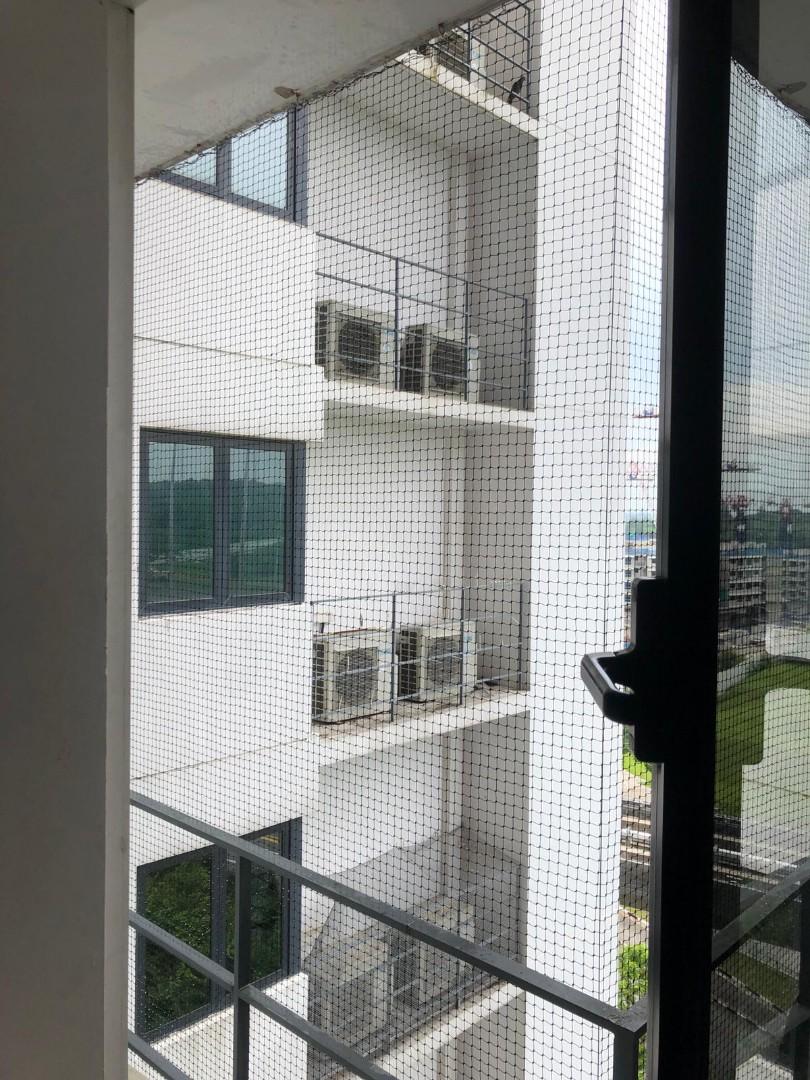 Bird Netting Condo and HDB, Everything Else on Carousell