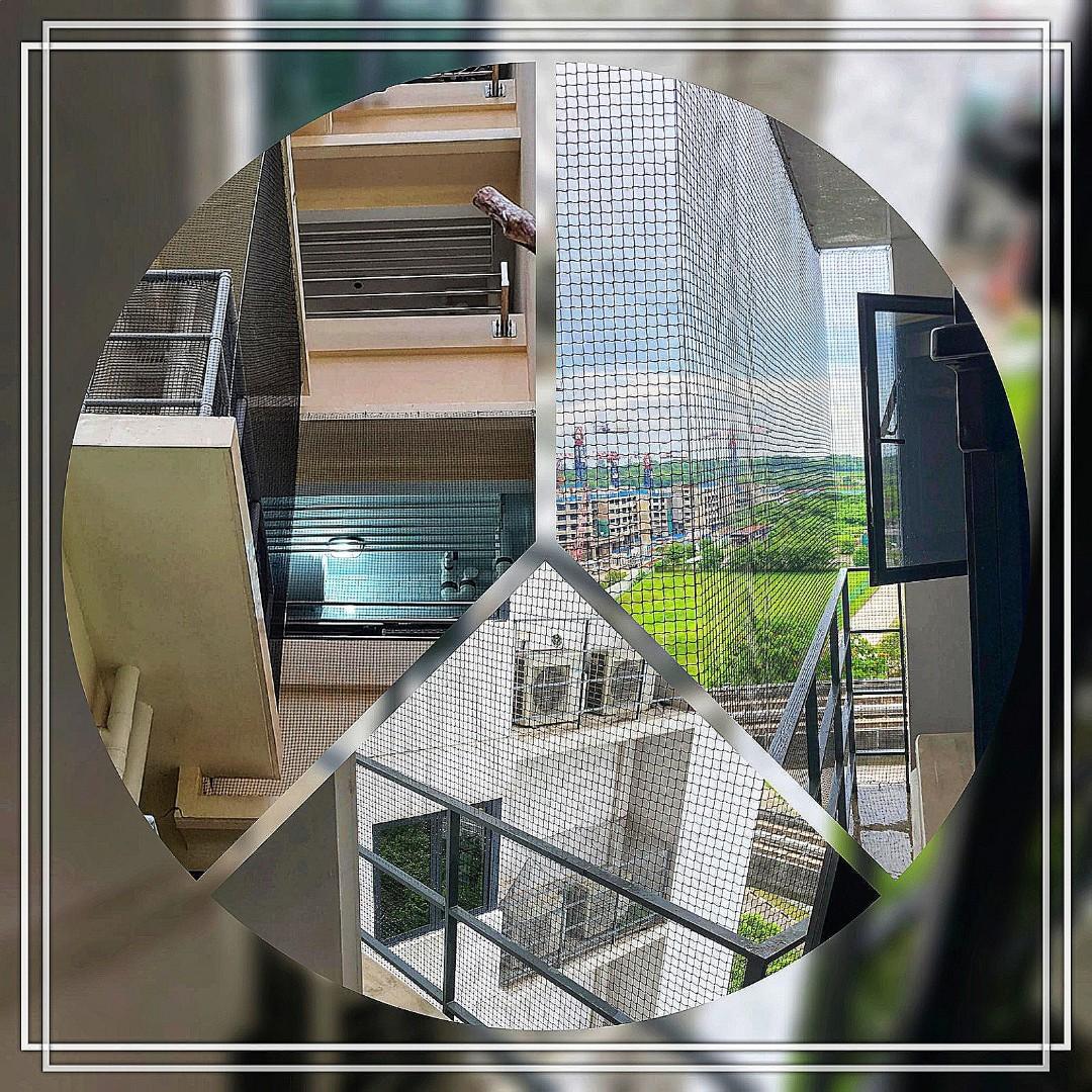 Bird Netting Condo and HDB, Everything Else on Carousell