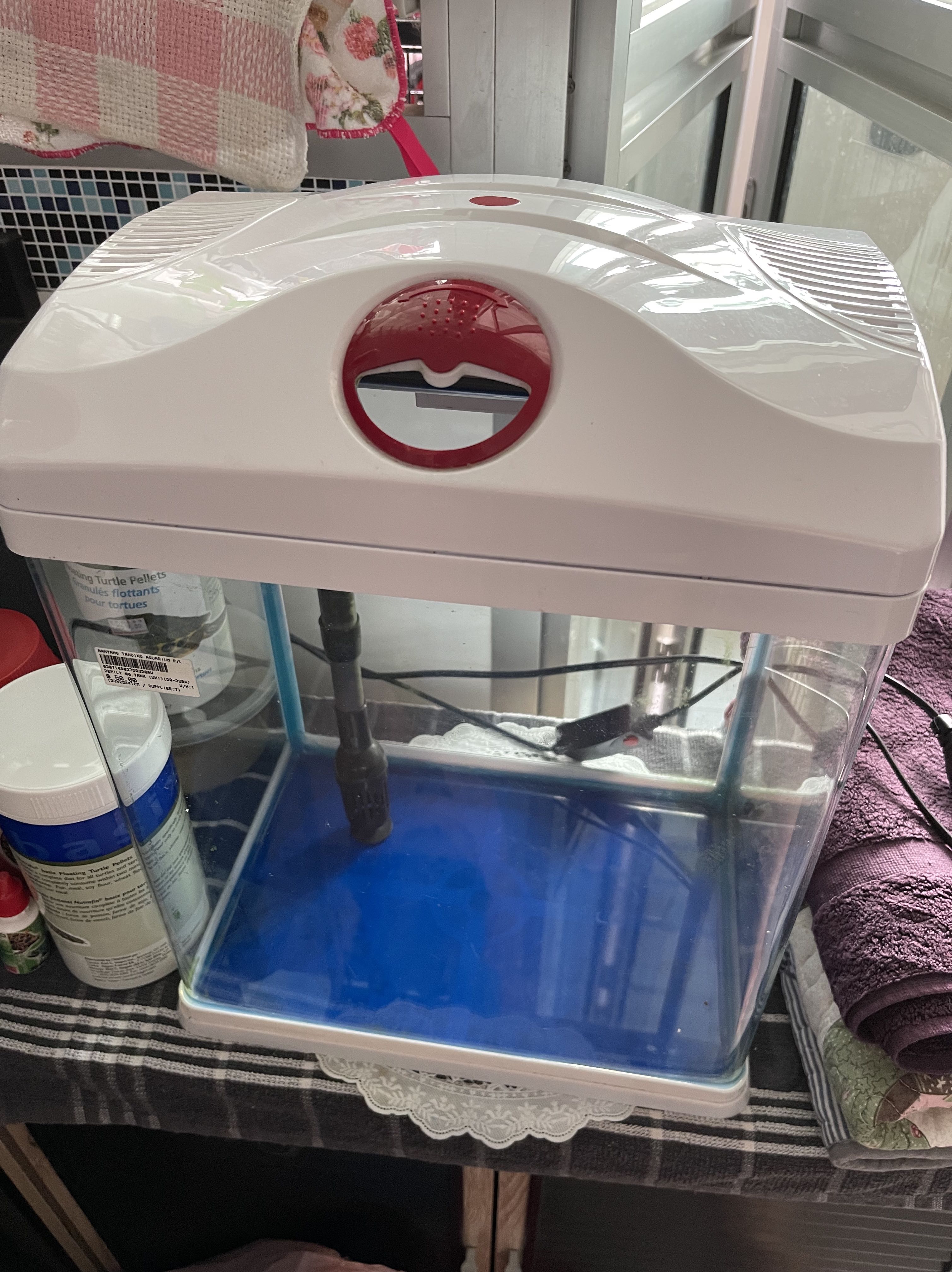 Used Fish Tank, Pet Supplies, Homes & Other Pet Accessories on Carousell